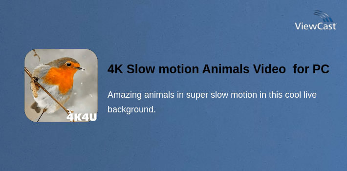 Download 4K Slow motion Animals Video Live Wallpaper for PC / Windows ...
