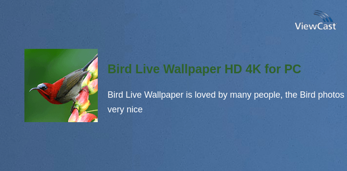 Download Bird Live Wallpaper HD 4K for PC / Windows / Computer