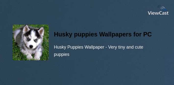 Download Husky puppies Wallpapers for PC / Windows / Computer
