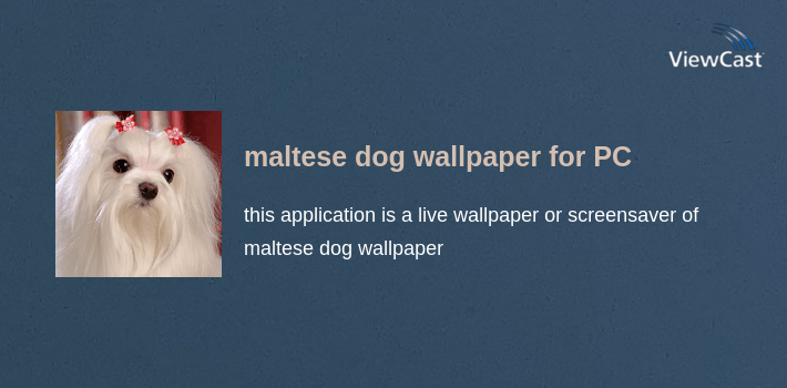 Download maltese dog wallpaper for PC / Windows / Computer