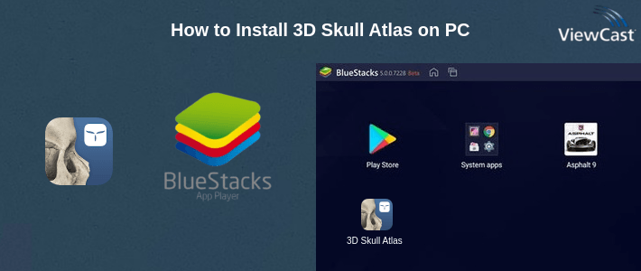 Download 3D Skull Atlas for PC / Windows / Computer