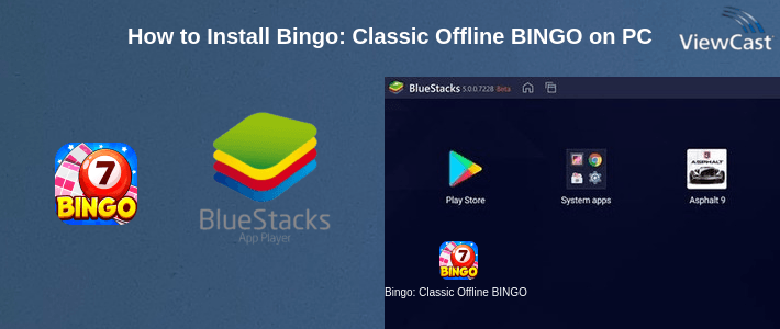 Download Bingo: Classic Offline BINGO for PC / Windows / Computer