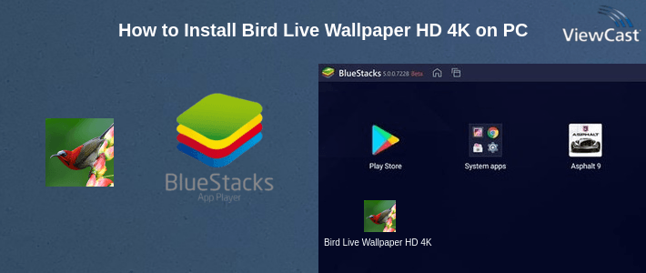 Download Bird Live Wallpaper HD 4K for PC / Windows / Computer