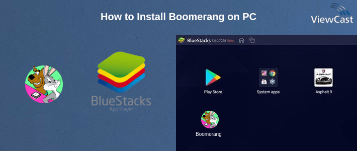 Download Boomerang for PC / Windows / Computer