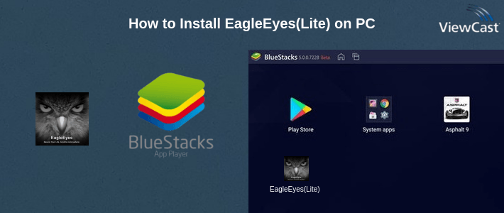 Download EagleEyes(Lite) for PC / Windows / Computer