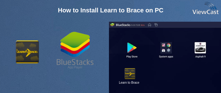 Download Learn to Brace for PC / Windows / Computer