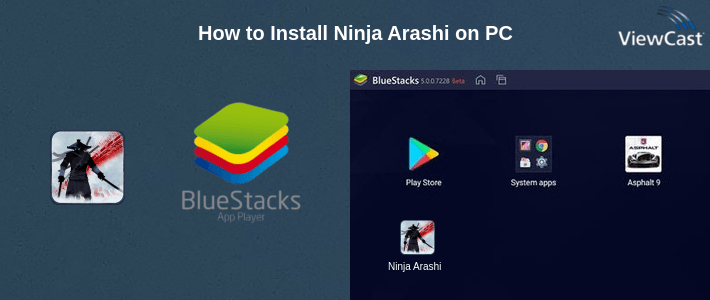 Download Ninja Arashi for PC / Windows / Computer