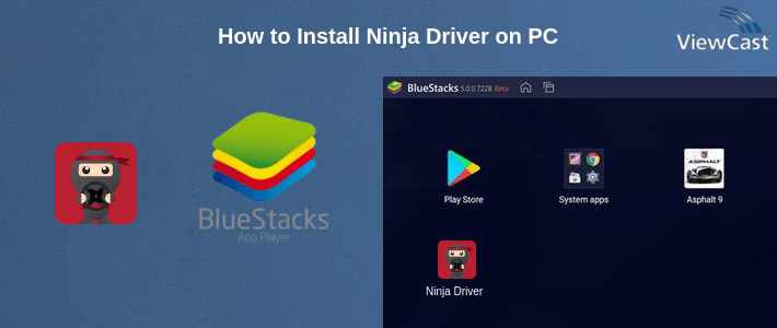 Download Ninja Driver for PC / Windows / Computer