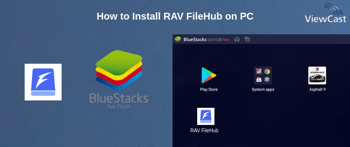 Download RAV FileHub for PC / Windows / Computer