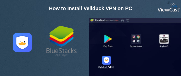 Download Veilduck VPN for PC / Windows / Computer