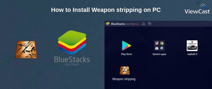Download Weapon stripping for PC / Windows / Computer