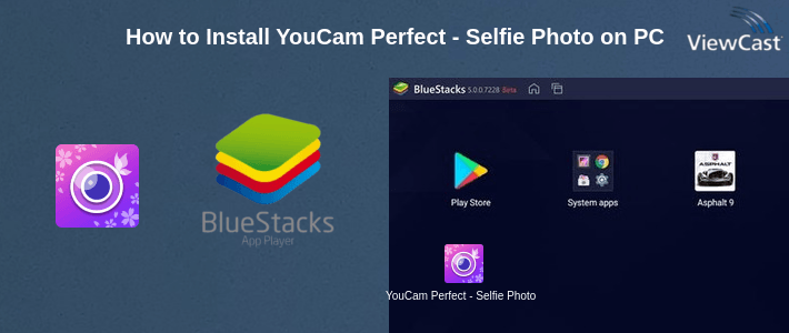Download YouCam Perfect - Selfie Photo Editor for PC / Windows / Computer