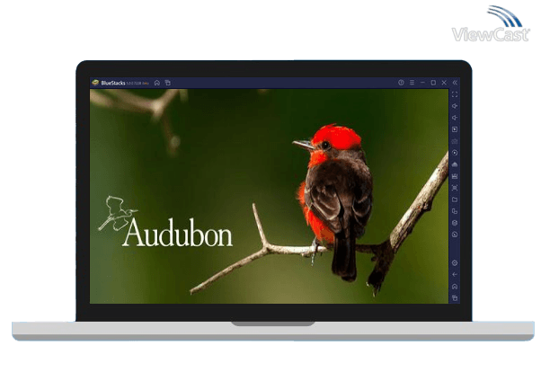 Download Audubon Bird Guide for PC / Windows / Computer