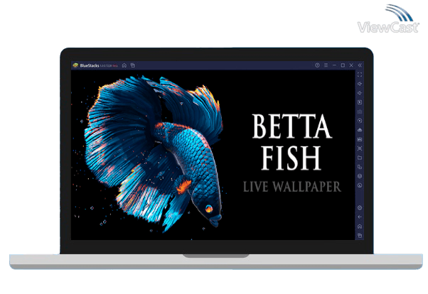 Download Betta Fish Live Wallpaper FREE for PC / Windows / Computer