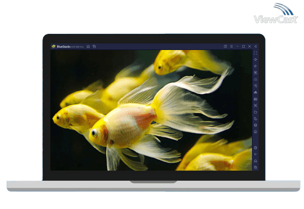 Download Betta Fish Live Wallpaper for PC / Windows / Computer