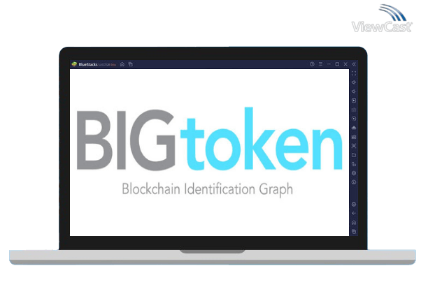Download BIGtoken for PC / Windows / Computer