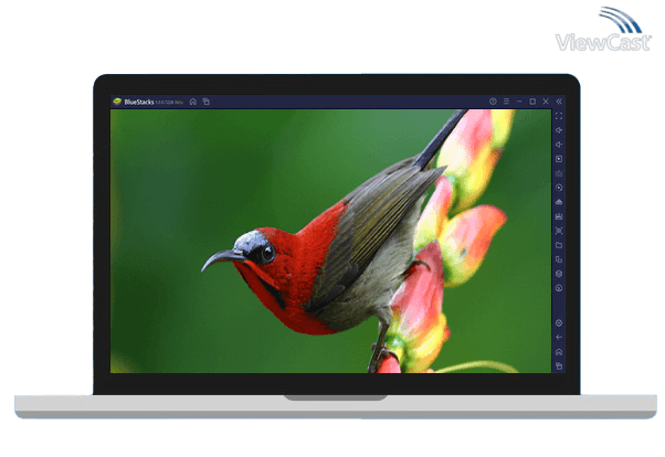 Download Bird Live Wallpaper HD 4K for PC / Windows / Computer