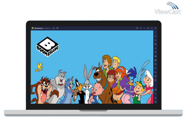 Download Boomerang for PC / Windows / Computer