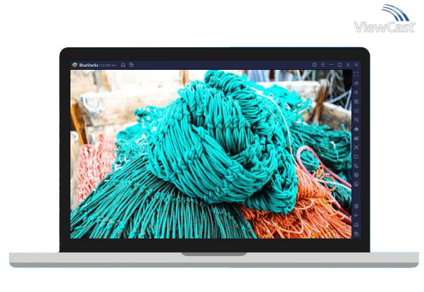 Download Gold Fish for PC / Windows / Computer