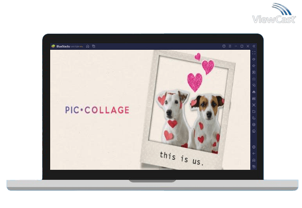 Download PicCollage - #1 Photo Collage Editor & Card Maker for PC ...
