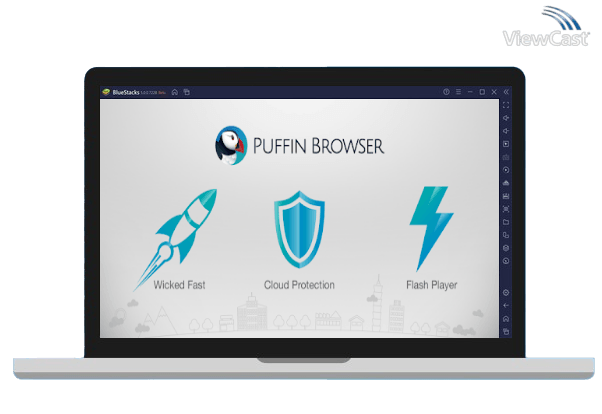 Download Puffin Web Browser for PC / Windows / Computer